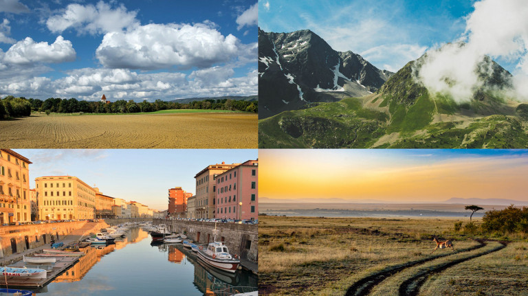 FAE STORIES | A different way to learn about the FAE world