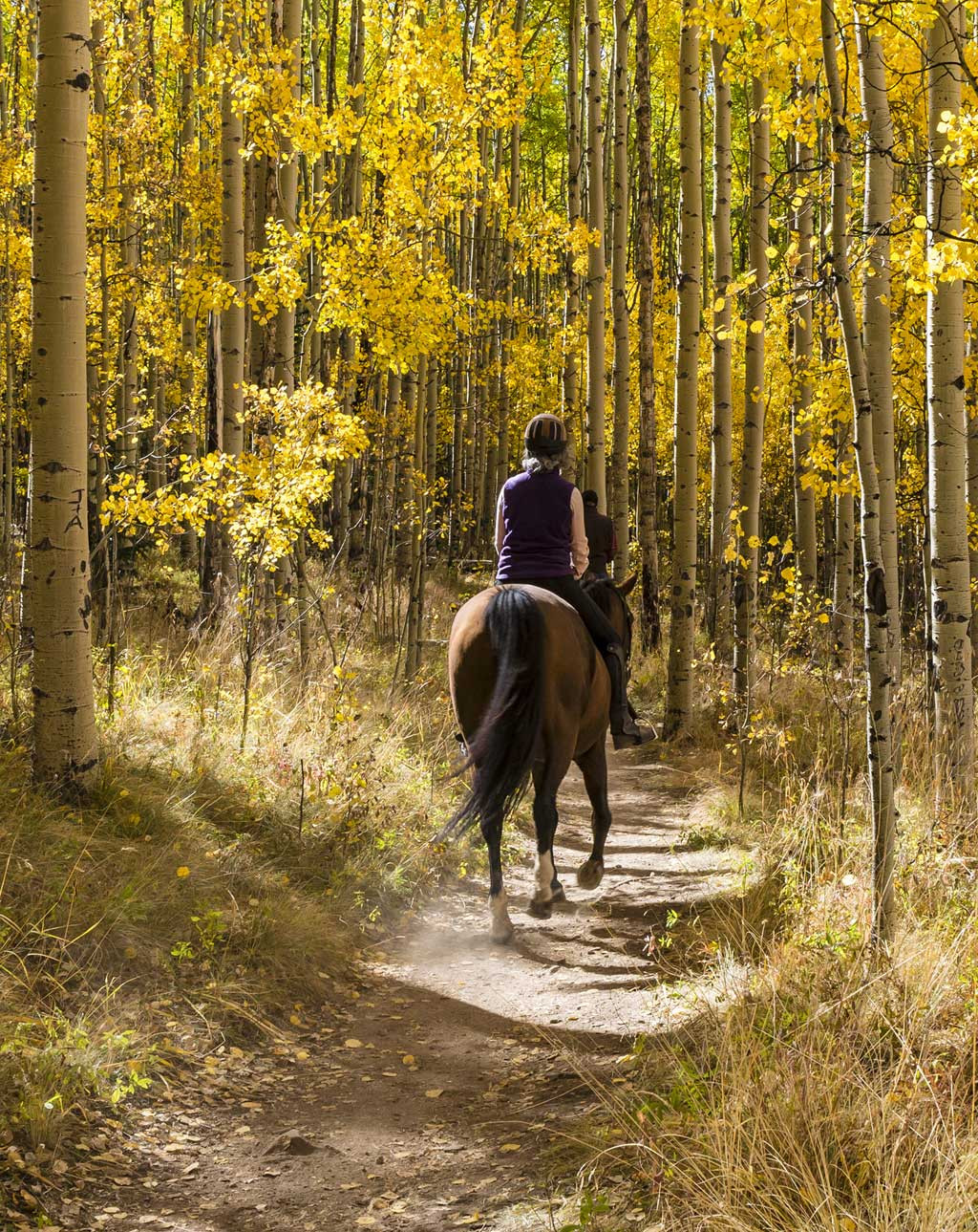 CONSTRUCTION | Applications - FAE USA