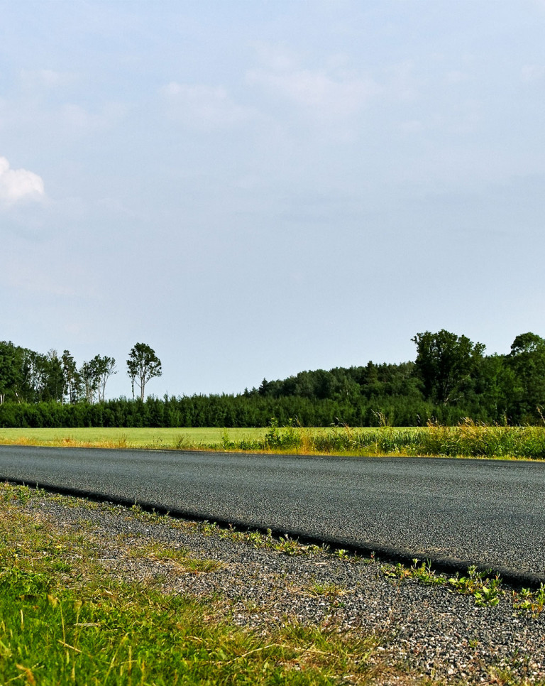 Roadside and railway vegetation maintenance | FAE USA