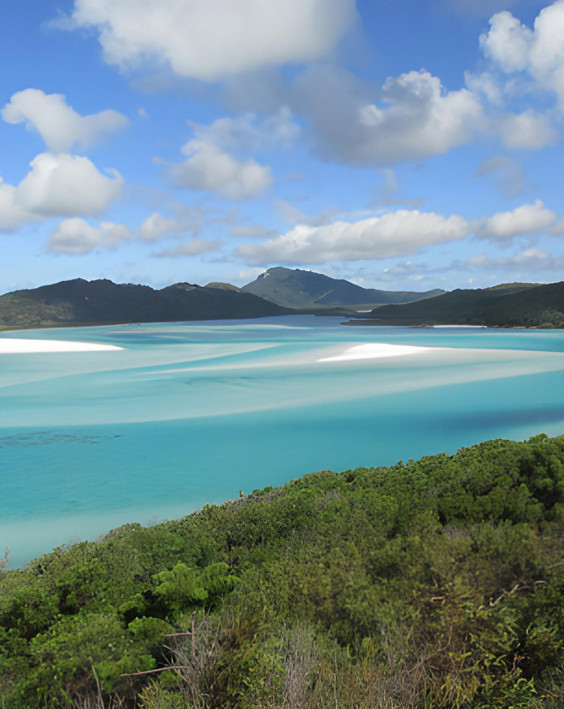A BL1/EX mulcher for preserving native Australian flora | FAE