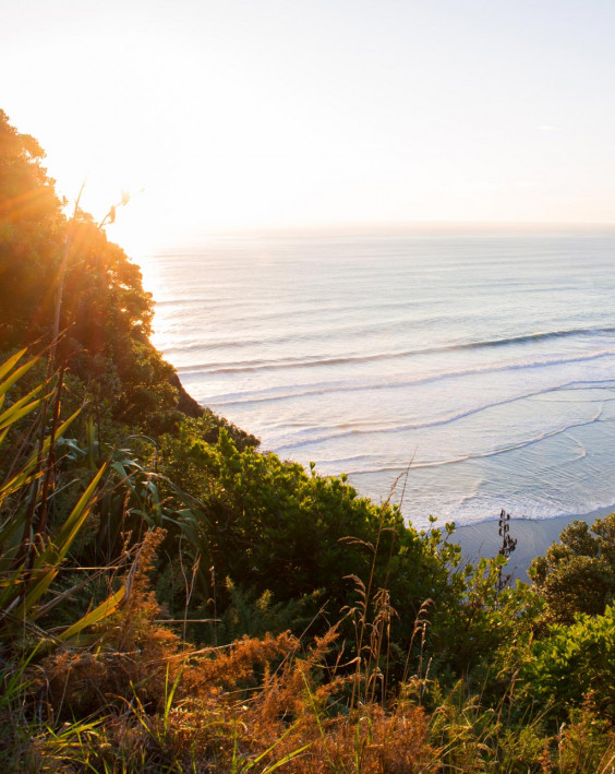 FAE Stories - Build ing a successful business in New Zealand and the ...