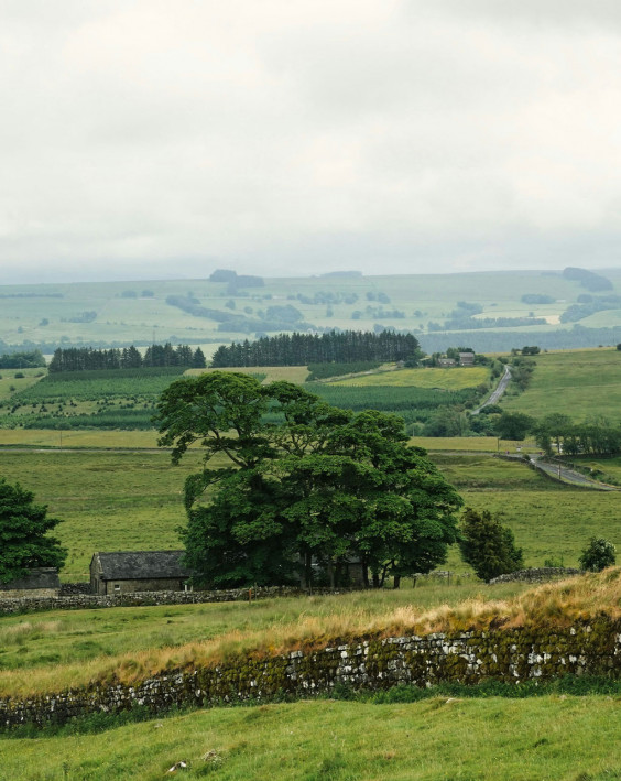 FAE Stories - Clearing firebreaks and forest tracks in England and the ...